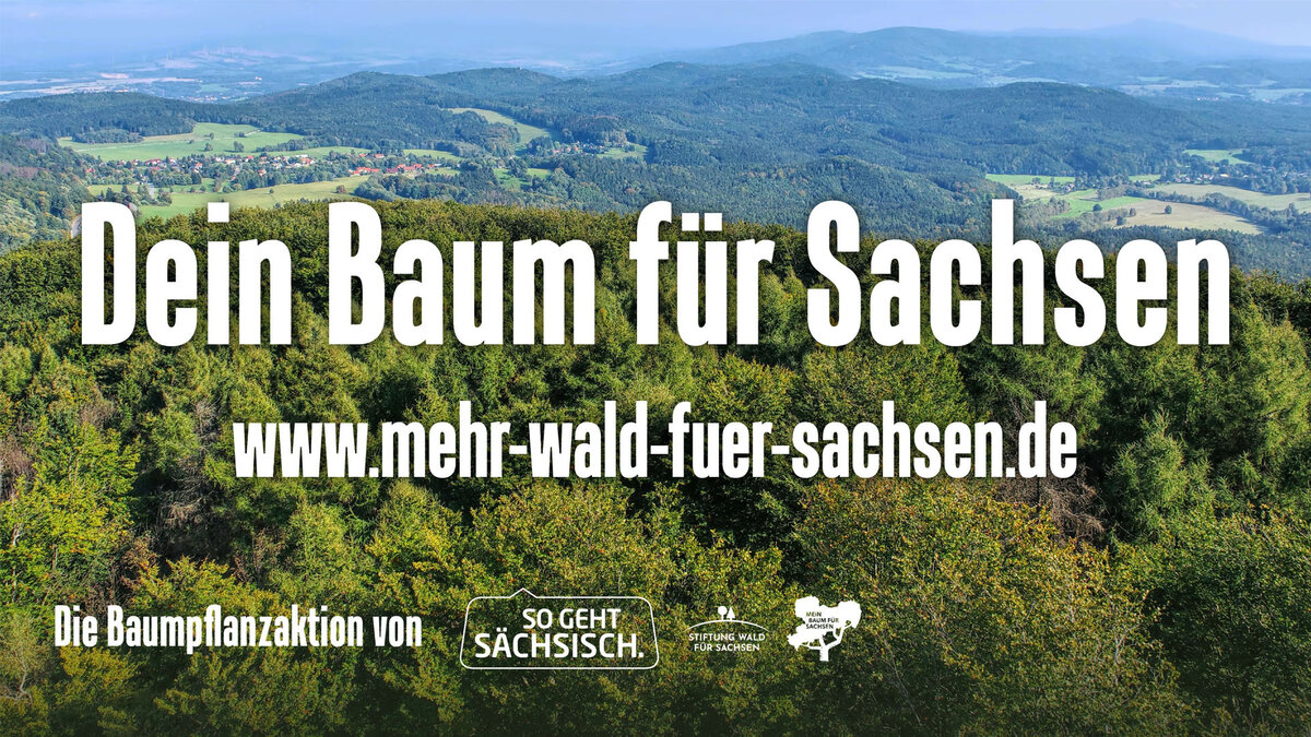 Icefighters Leipzig: Mehr Wald für Sachsen